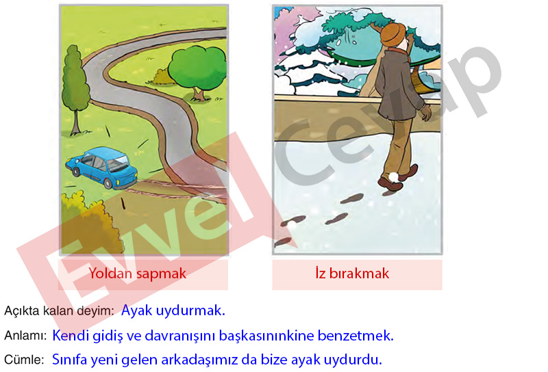 Pulsuz Dilekçe Metni Cevapları (6. Sınıf Türkçe)