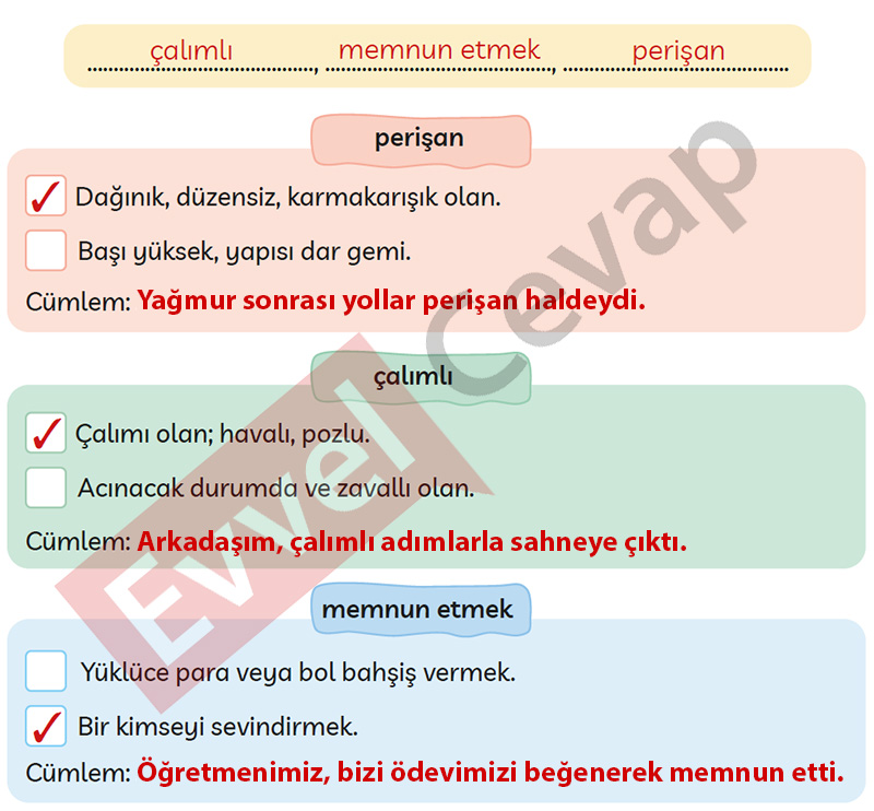 Tarla Faresi ile Şehir Faresi Metni Cevapları (3. Sınıf Türkçe)
