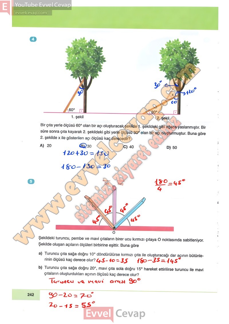 6. Sınıf Matematik Ders Kitabı Cevapları Doğa Yayınları Sayfa 242