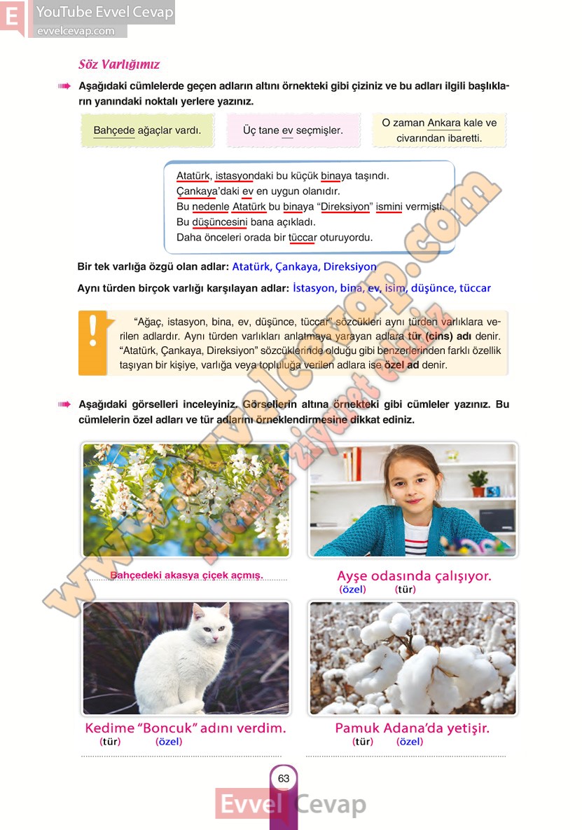 6. Sınıf Yıldırım Yayınları Türkçe Ders Kitabı Cevapları Sayfa 57-58-59 ...