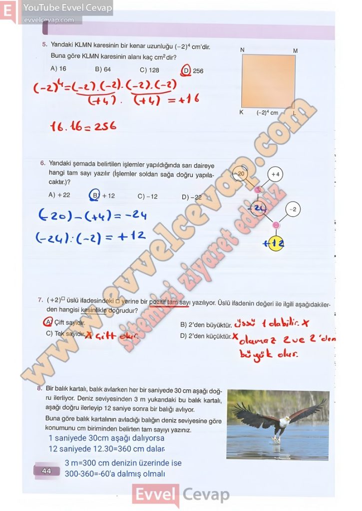 7. Sınıf Matematik Ders Kitabı Cevapları Edat Yayıncılık Sayfa 43-44-45-46