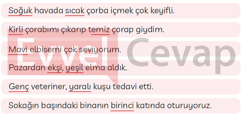 8. Tema Doğa ve Evren Öğrendiklerimizi Değerlendiriyoruz Soruları Metni ...