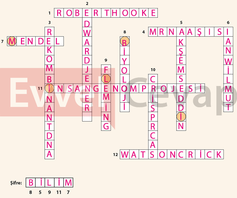 9. Sınıf Biyoloji Ders Kitabı Cevapları Meb Yayınları Sayfa 21
