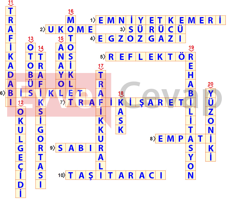 9. Sınıf Sağlık Bilgisi ve Trafik Kültürü Ders Kitabı Cevapları Ferman Yayınları Sayfa 198