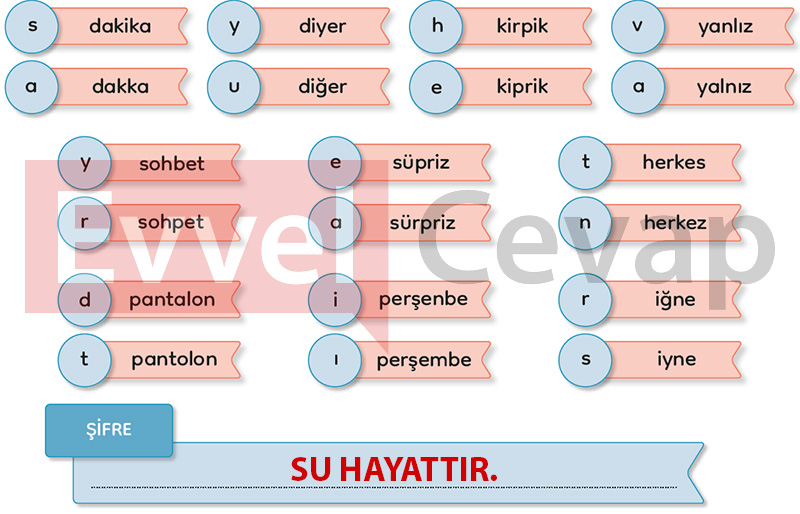 Gezgin Su Damlası Metni Cevapları (3. Sınıf Türkçe)