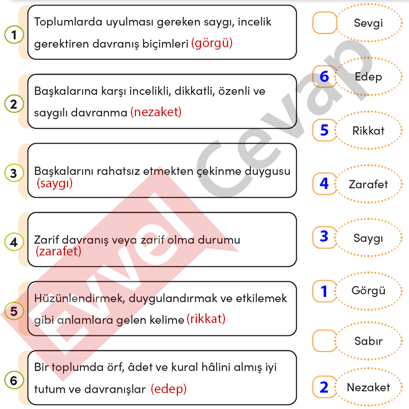 Görgü Kuralları ve Nezaket Ders Kitabı Cevapları Meb Yayınları (1. Kitap) Sayfa 30