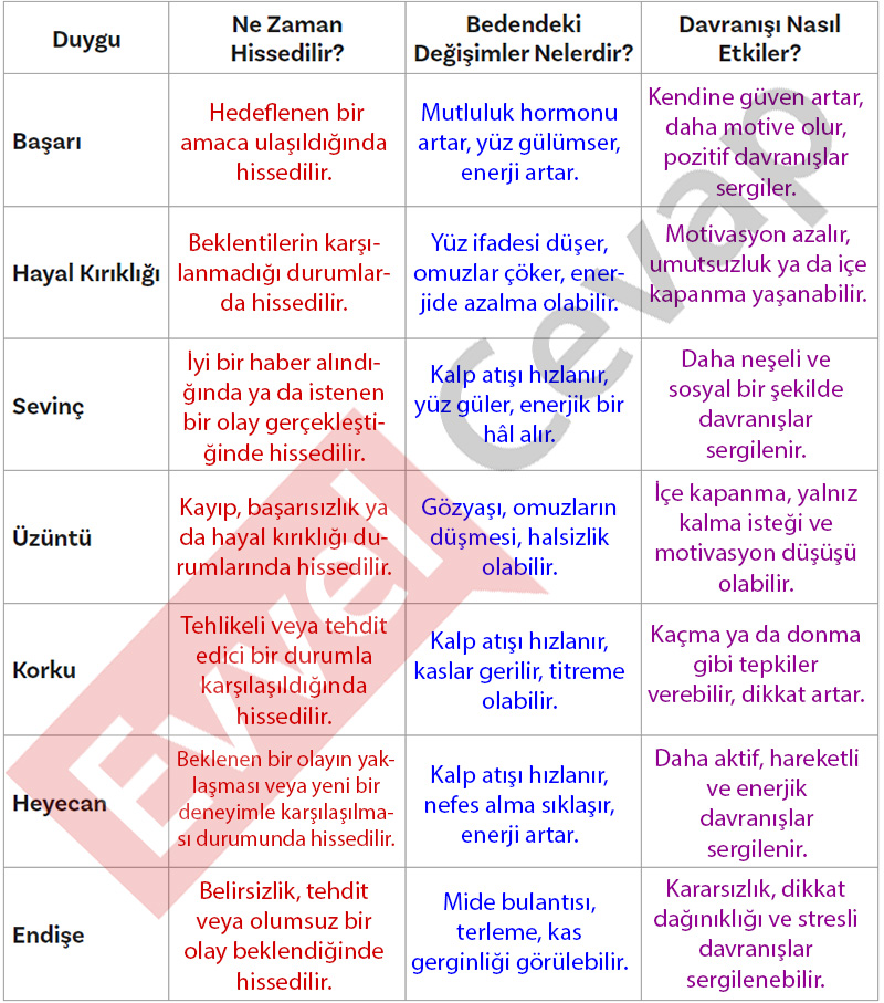 Görgü Kuralları ve Nezaket Ders Kitabı Cevapları Meb Yayınları (2. Kitap) Sayfa 40