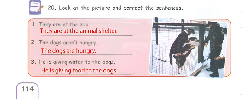 Look at the picture and correct the sentences.