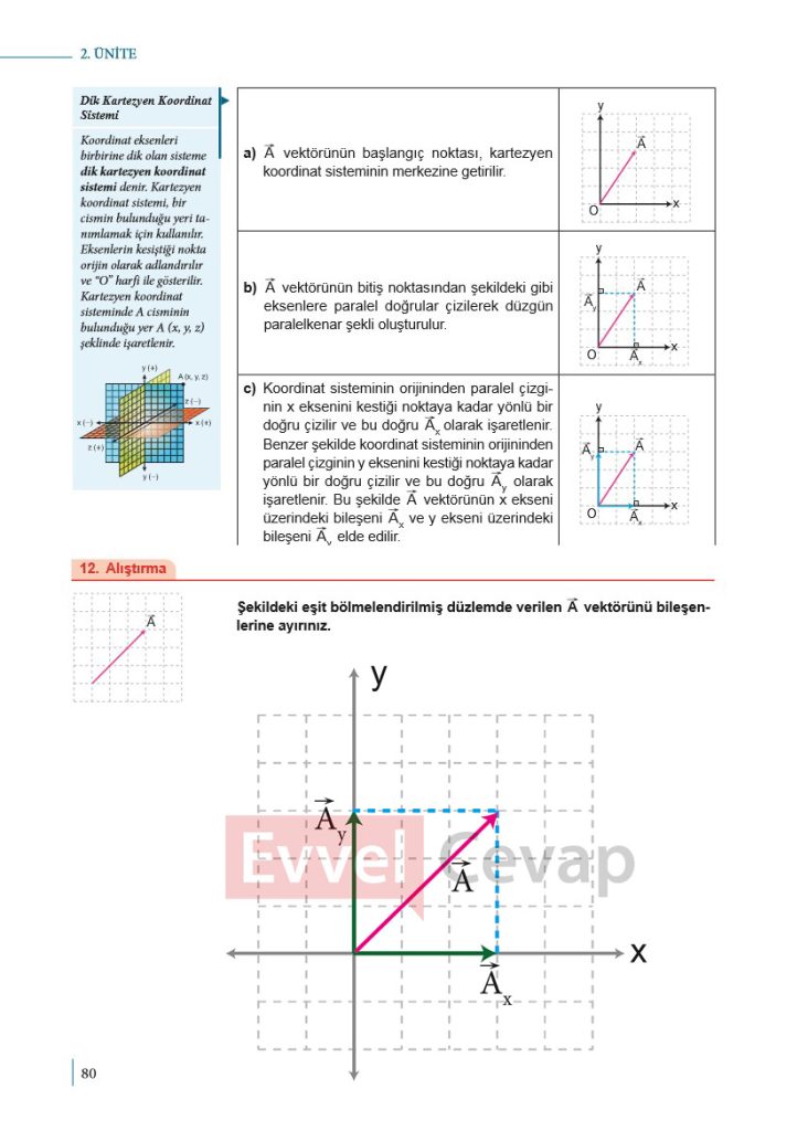 9. Sınıf Fizik Ders Kitabı Cevapları Sayfa 75-76-77-78-79-80-81-82-83-84-85