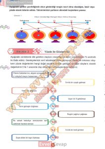 5. Sınıf Matematik Ders Kitabı Cevapları Meb Yayınları (2. Kitap) Sayfa ...