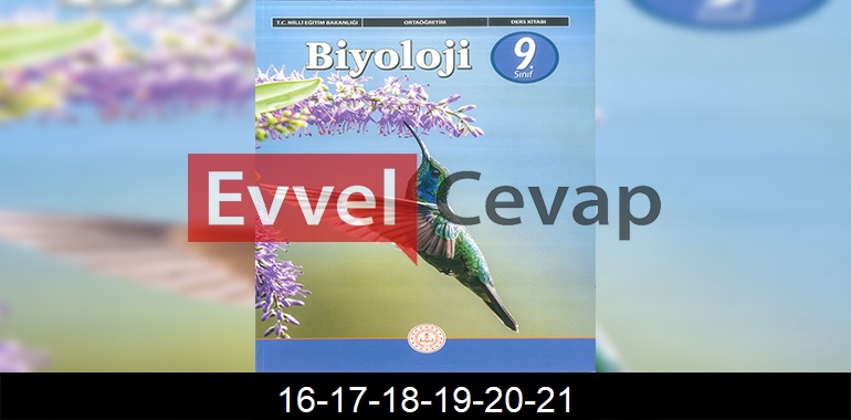 9. Sınıf Biyoloji Ders Kitabı Cevapları Sayfa 16-17-18-19-20-21 - Evvel ...