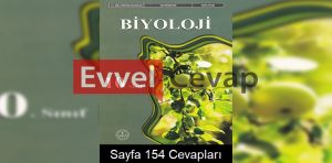 10. Sınıf Biyoloji Ders Kitabı Meb Yayınları Cevapları Sayfa 154 ...