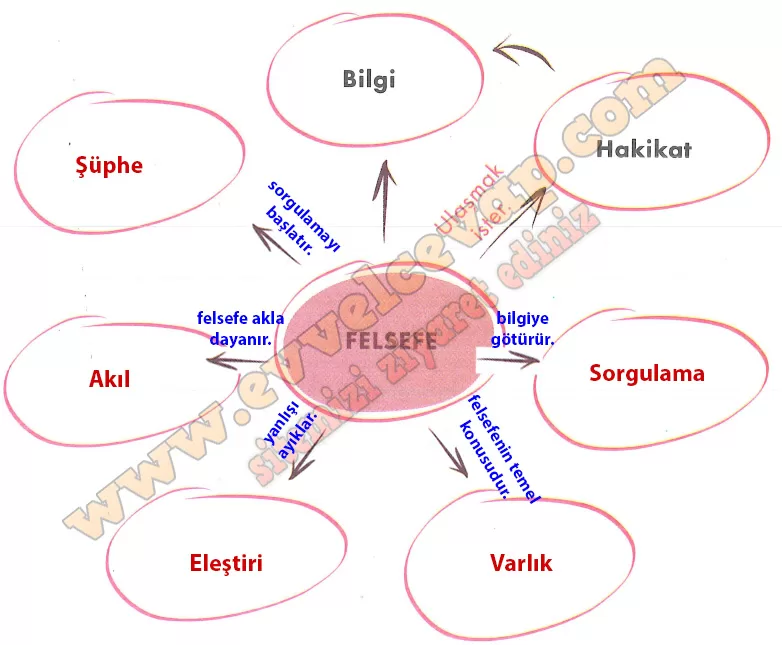 10. Sınıf Felsefe Ders Kitabı Cevapları Sayfa 18