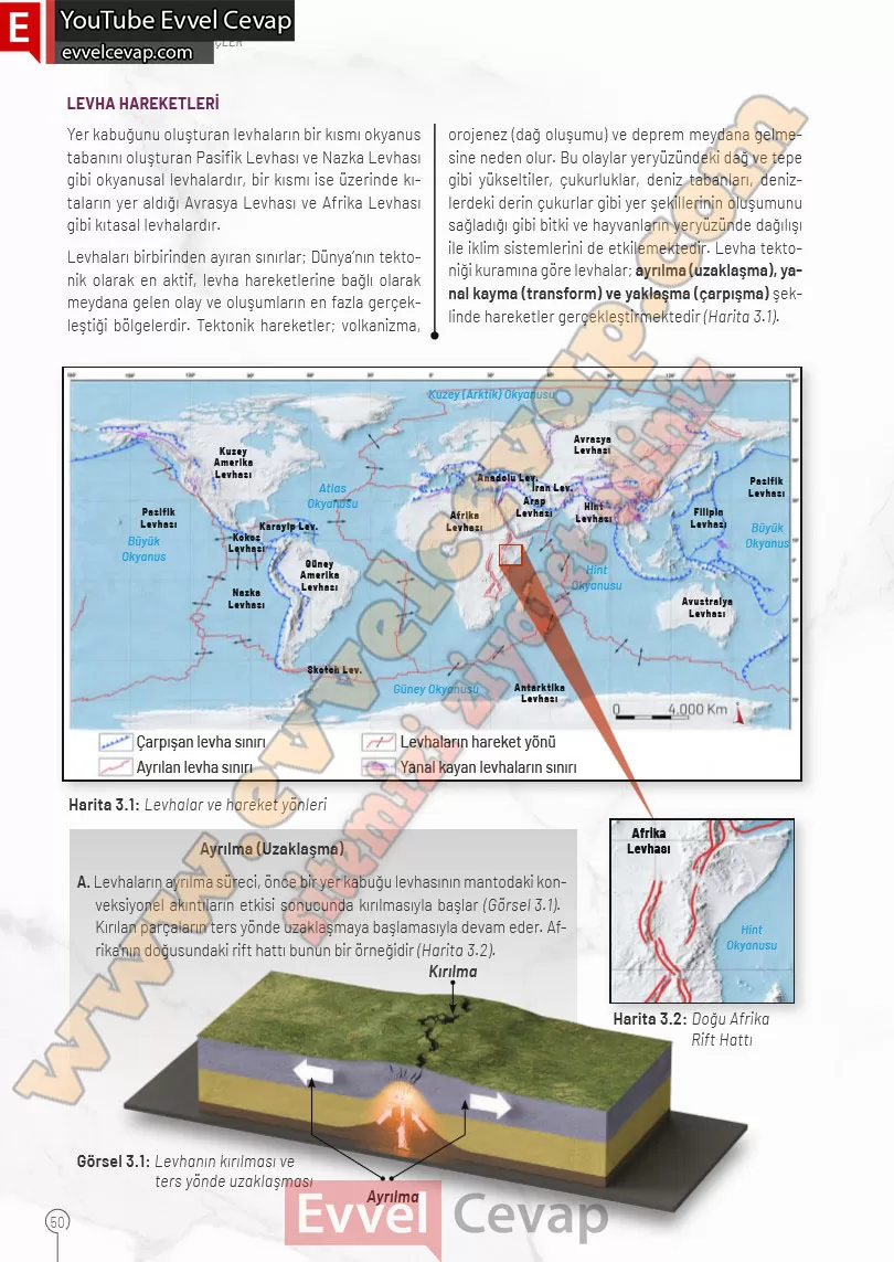 10. Sınıf Coğrafya Ders Kitabı Cevapları Meb Yayınları Sayfa 49-50-51 ...