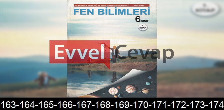 6. Sınıf Fen Bilimleri Ders Kitabı Cevapları Meb Yayınları (1. Kitap) Sayfa 160-161-162-163-164 ...
