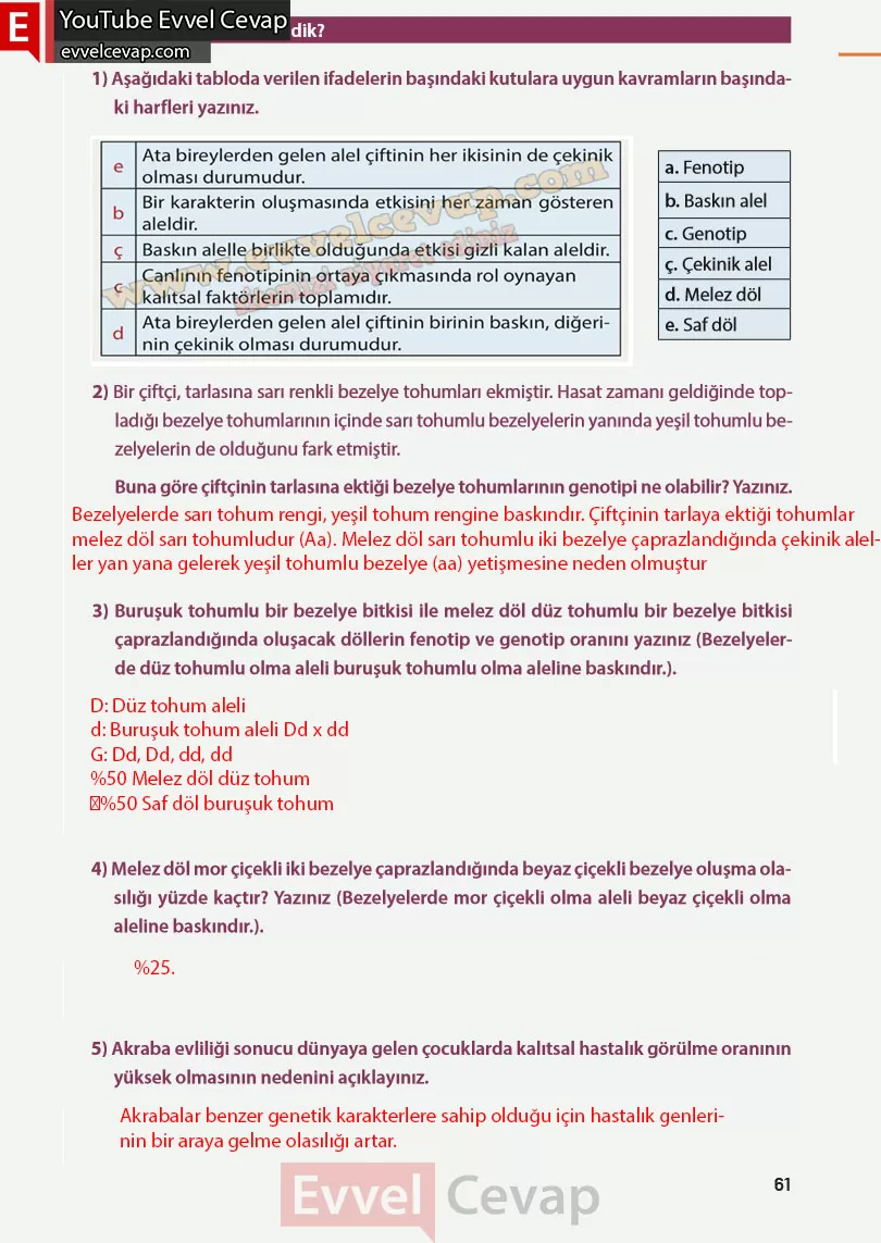 8. Sınıf Fen Bilimleri Ders Kitabı Cevapları Meb Yayınları Sayfa 60-61 ...