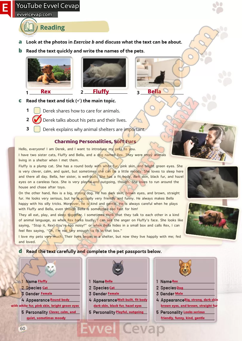 9. Sınıf İngilizce Waymark B1.1 Ders Kitabı Cevapları Meb Yayınları ...